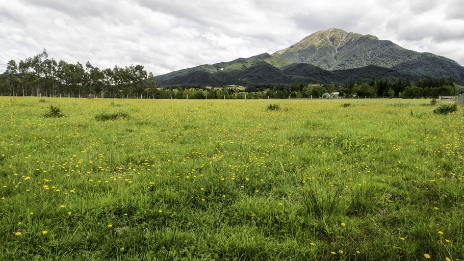 The benefits of a digital sign-in system for rural properties | Onside