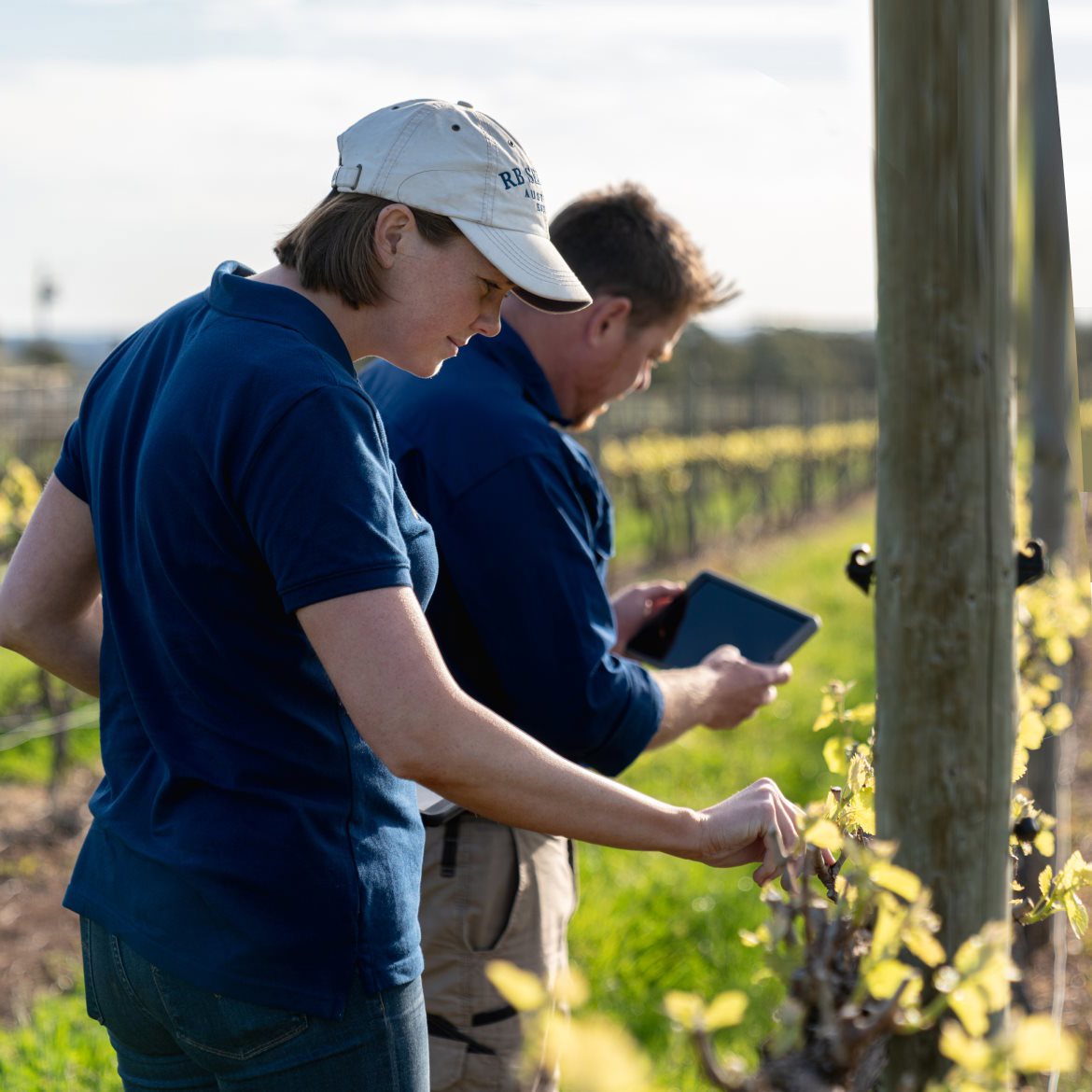 A Guide to Farm Health and Safety Policies with PDF Template