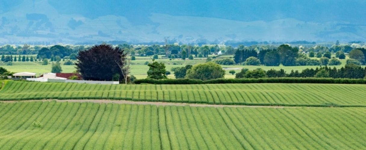 Agricultural compliance: Schemes, benefits and more | Onside
