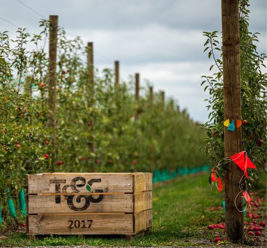 Farm Management App | Onside | New Zealand