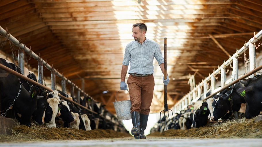 Lone Worker Risk Assessment: Complete Guide + PDF Template